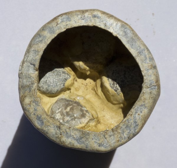 The New Bullet And Shell.com